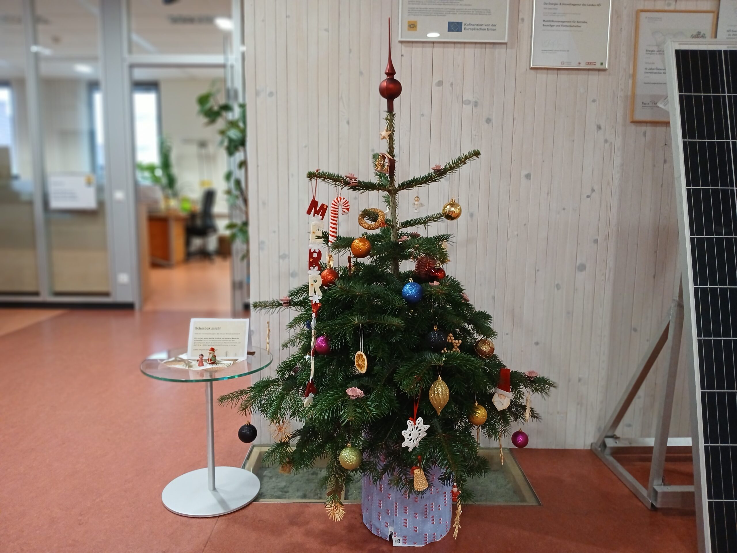 Einen Christbaum für die eNu | Wir leben nachhaltig