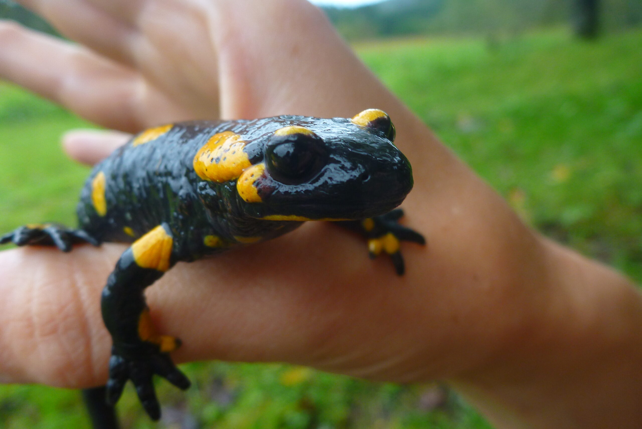 Ciao Winter! | Wir leben nachhaltig